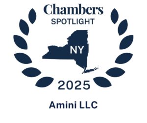 Amini LLC - Amini LLC