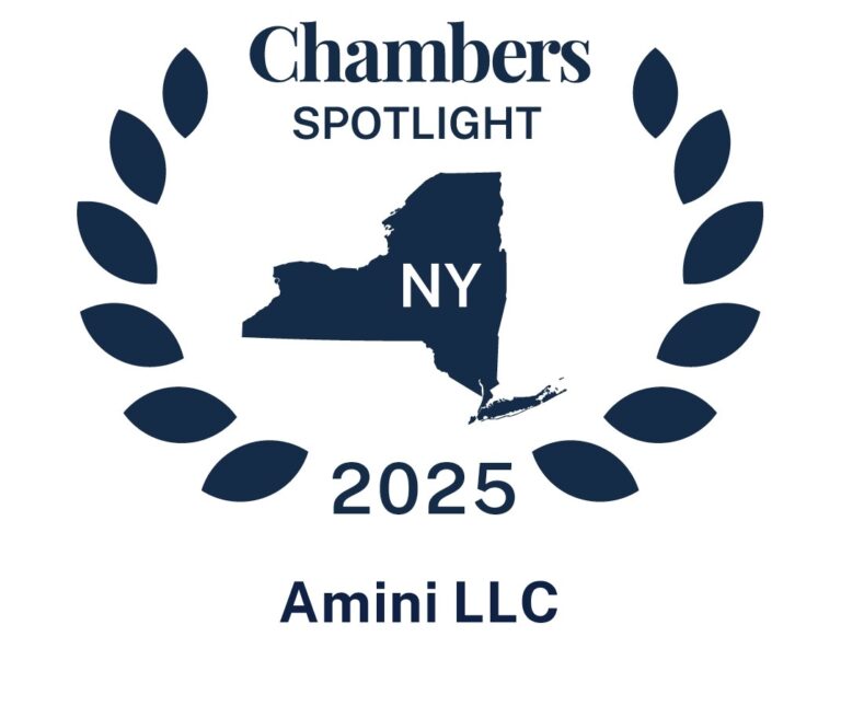 Amini LLC - Amini LLC